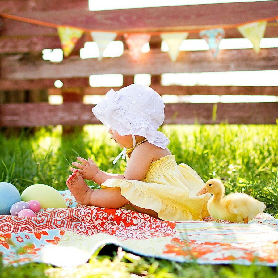 Home | Crimsy Photography