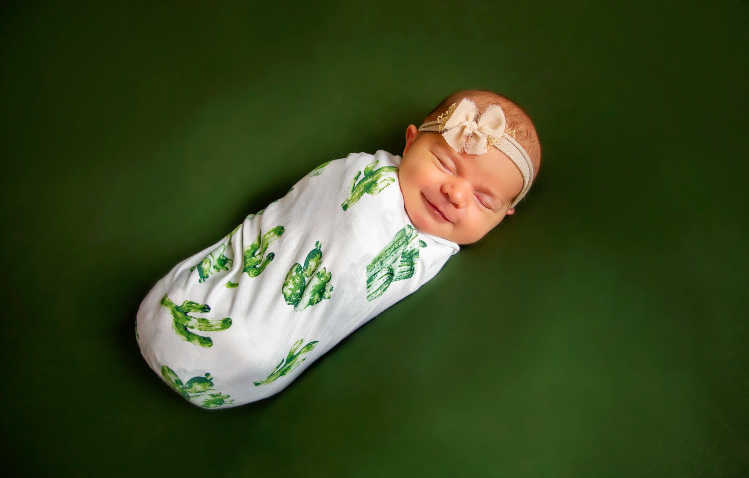 Home | Crimsy Photography